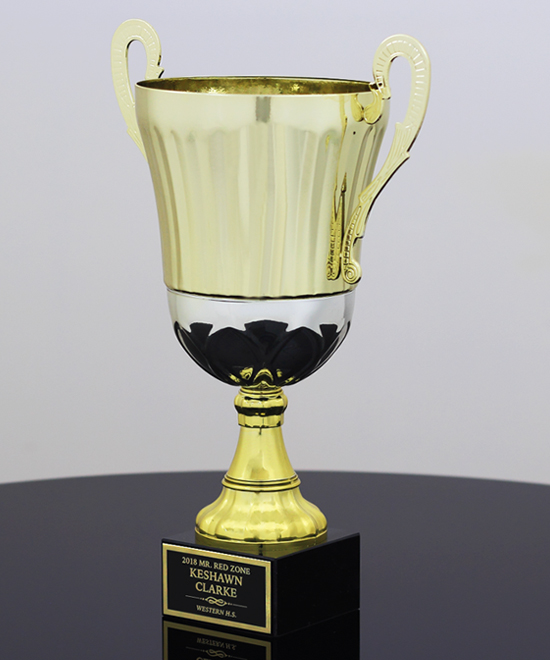 Stratos Two-Tone Metal Trophy Cup | AMC19 | Edco Awards