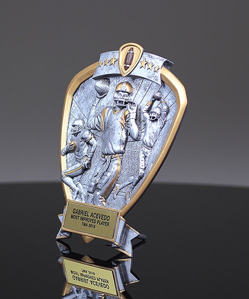 Silverstone Shield Football | Edco Awards