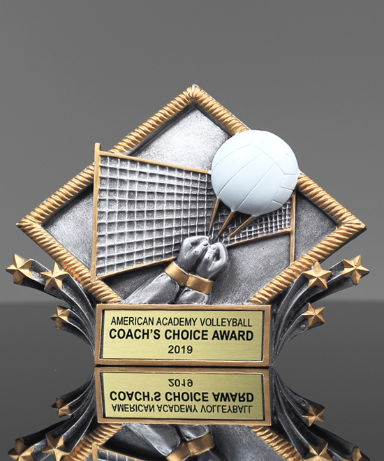 Volleyball Diamond Plate | Edco Awards