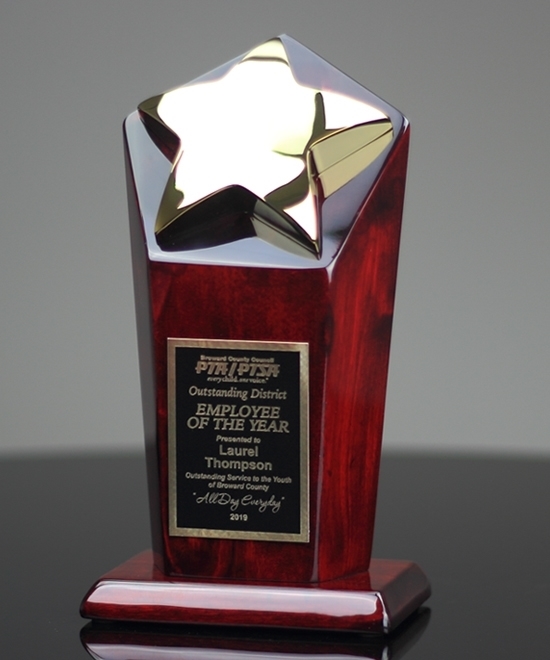 Gold Star Tower Award | Edco Awards