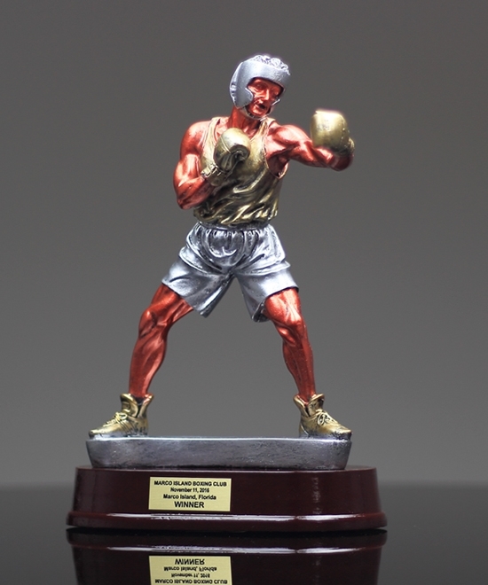 Gallery Series Valor Boxing Trophy | RF24542 | Edco Awards