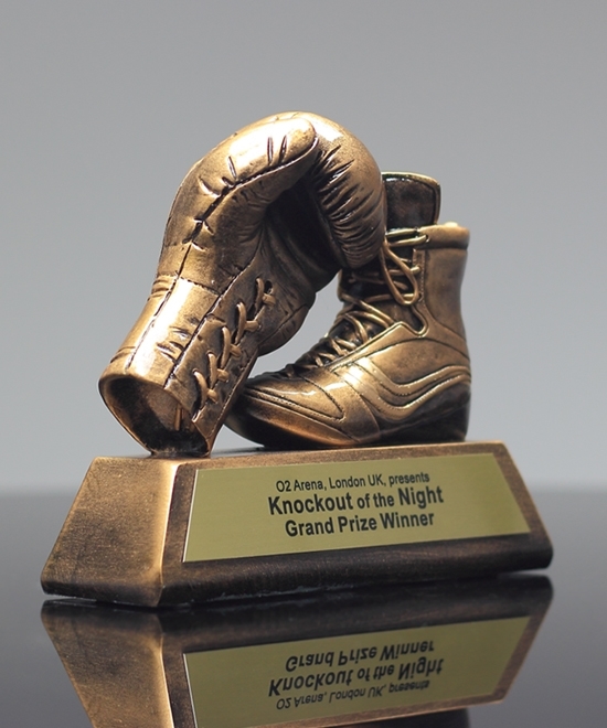 Golden Glove and Boxing Shoe Award | Boxing Trophy | Edco Awards