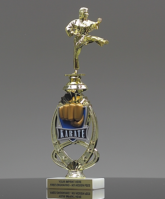 Martial Arts Meridian Sport Riser Trophy | Edco Awards