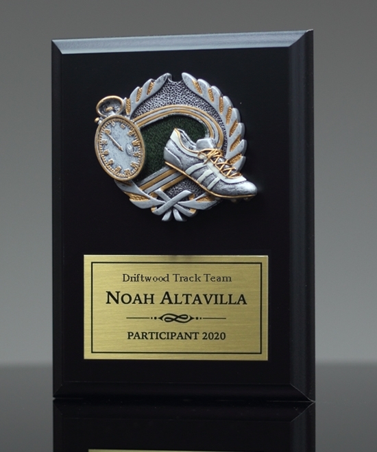 Color Theme Track & Field Wall Plaque | Edco Awards