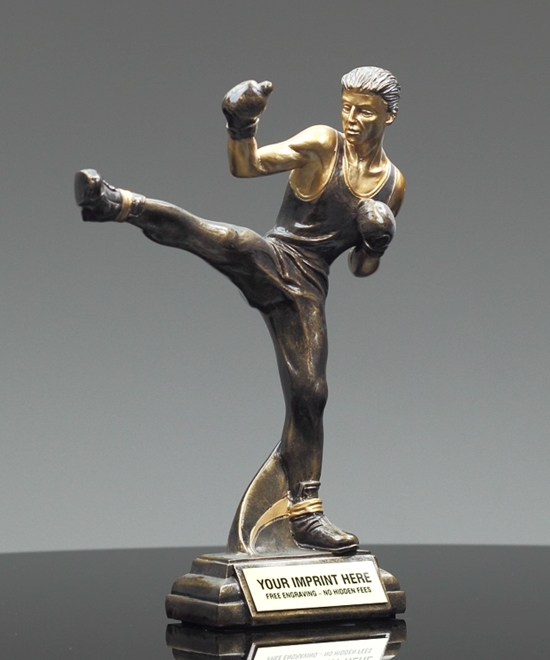 Mixed Martial Arts Resin | MMA Trophy | Edco Awards