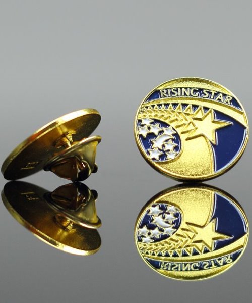 Recognition Pin | Rising Star Recognition Pin | Edco Awards