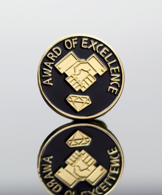 Recognition Pin | Award of Excellence | Employee Recognition Pin | Edco ...