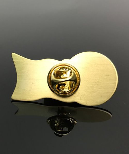 Scholastic Theme Award Pin - Social Studies