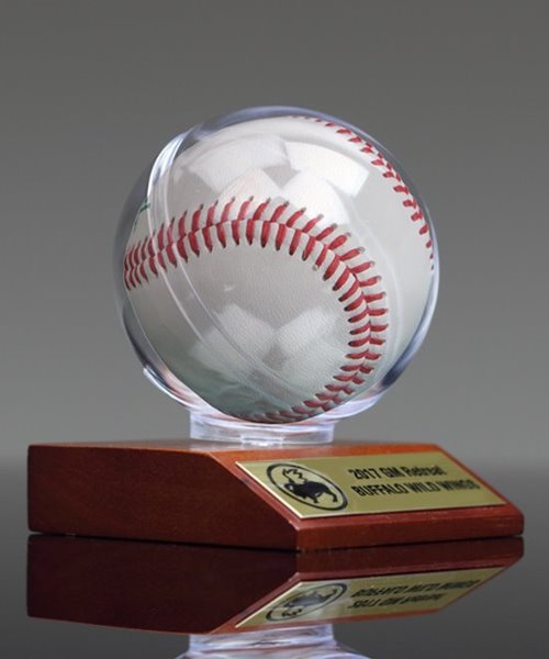 Baseball Display Case Trophy | SN15 | Edco Awards