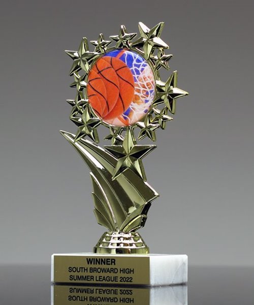 Super Star Trophy with Activity Insert | Edco Awards