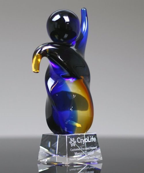 Team Player Art Glass Award | Edco Awards