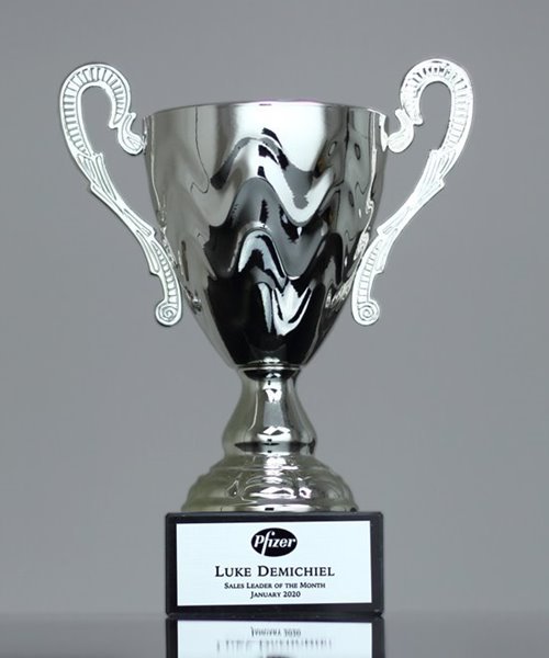 Traditional Silver Cup Trophy | Edco Awards
