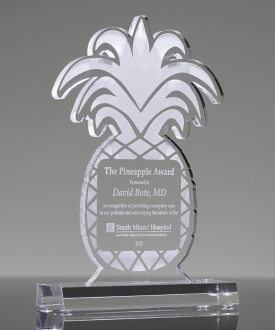 Acrylic Pineapple Award | Edco Awards