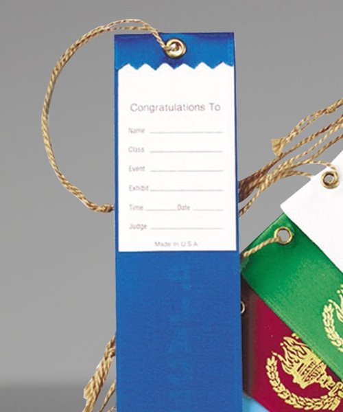 Stock Ribbon Awards with String | Edco Awards