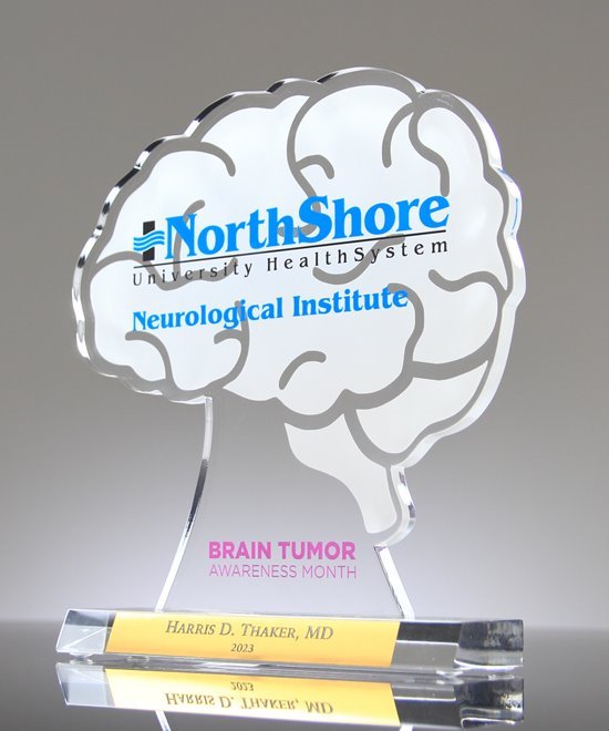 Acrylic Brain Trophy | Edco Awards