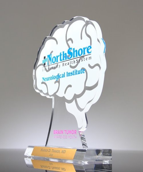 Acrylic Brain Trophy | Edco Awards