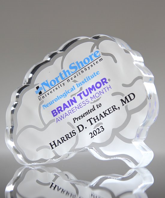 Custom Brain Paperweight Award | Edco Awards
