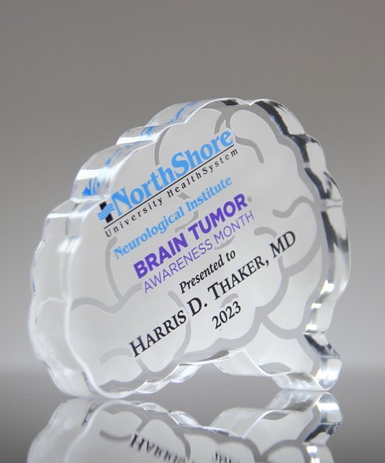 Custom Brain Paperweight Award | Edco Awards