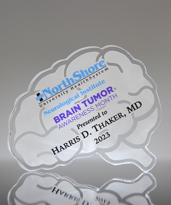 Custom Brain Paperweight Award | Edco Awards