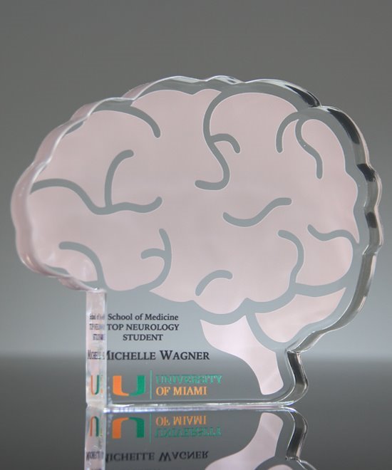 Acrylic Brain Trophy Paperweight | Edco Awards