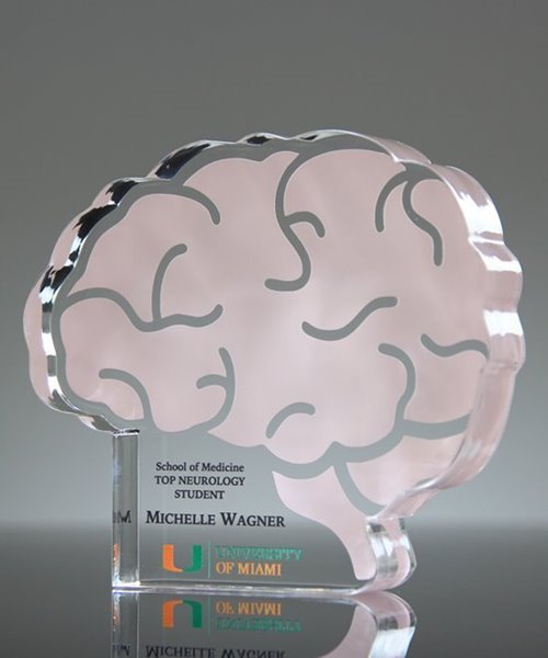 Acrylic Brain Trophy Paperweight | Edco Awards