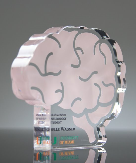 Acrylic Brain Trophy Paperweight | Edco Awards