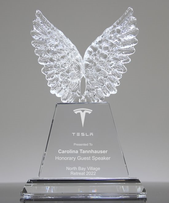 Crystal Wings Trophy | Edco Awards