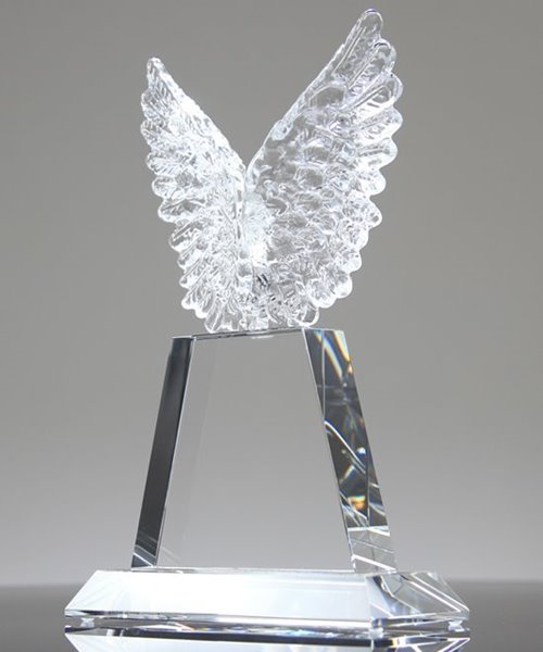 Crystal Wings Trophy | Edco Awards