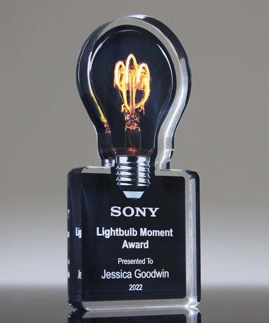 Light Bulb Moment Acrylic Award | Edco Awards