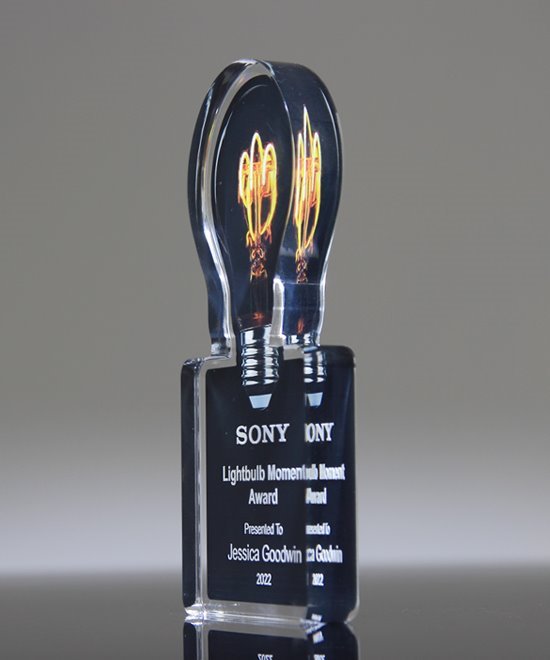 Light Bulb Moment Acrylic Award | Edco Awards