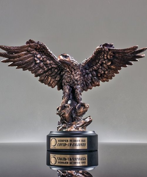 Courage Eagle Award | Edco Awards