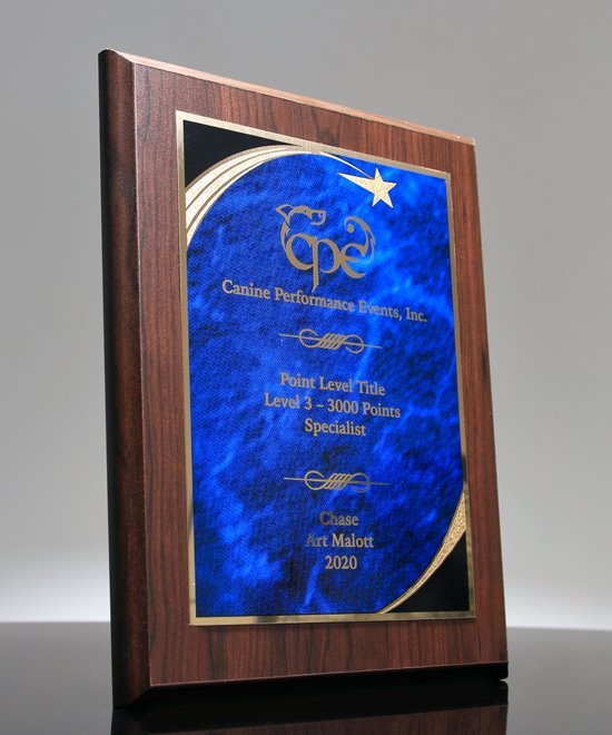 Designer Blue Marble Star Plaque - Small Size | Edco Awards