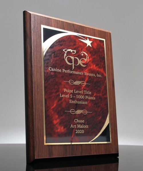 Designer Red Marble Star Plaque - Small Size | Edco Awards