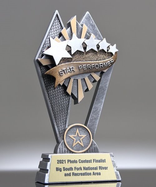 Sun Ray Star Performer Award | Edco Awards