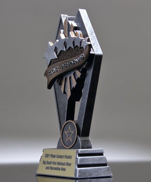 Sun Ray Star Performer Award | Edco Awards