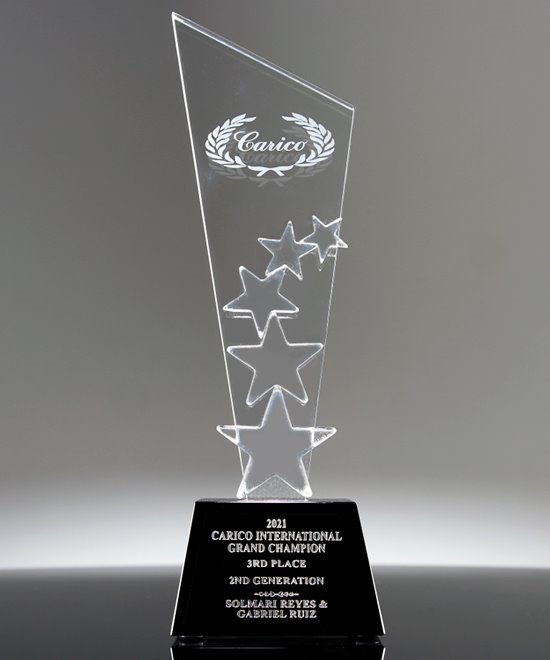 Custom Star Trophy Crystal Award | Edco Awards