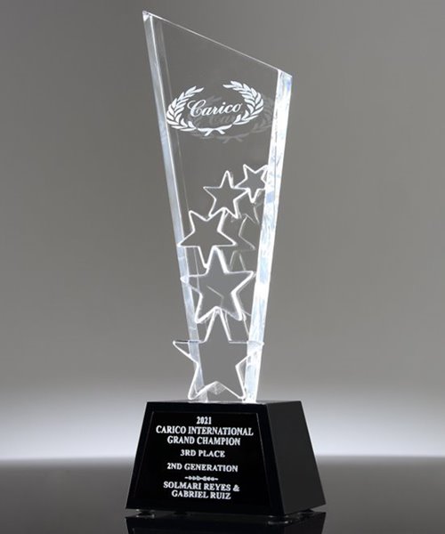 Custom Star Trophy Crystal Award | Edco Awards