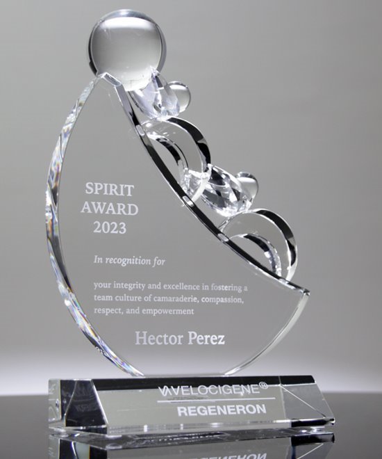 Perseverance Crystal Award | Edco Awards