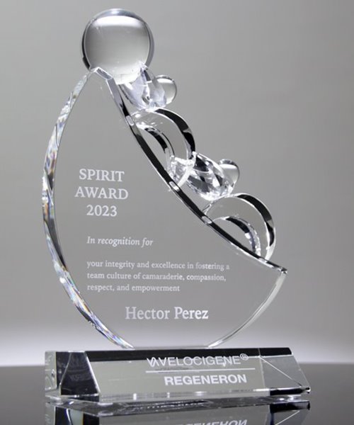 Perseverance Crystal Award | Edco Awards