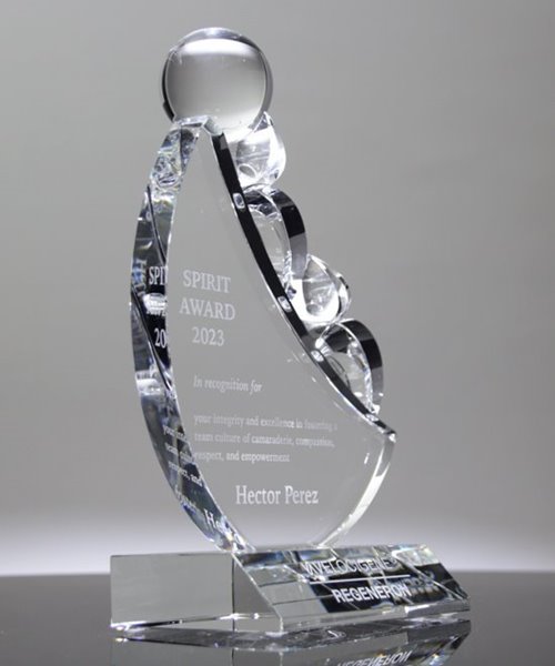 Perseverance Crystal Award | Edco Awards