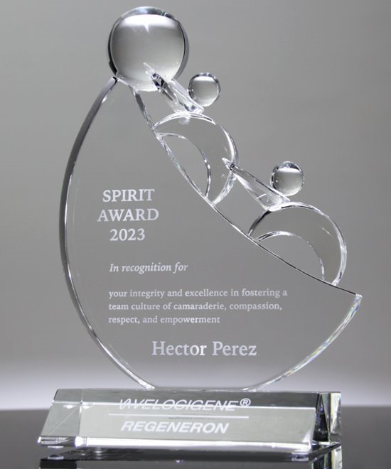 Perseverance Crystal Award | Edco Awards