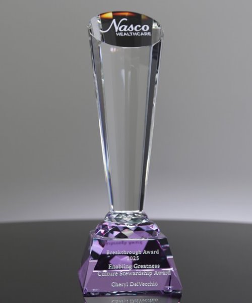 Purple Crystal Spotlight Award | Edco Awards
