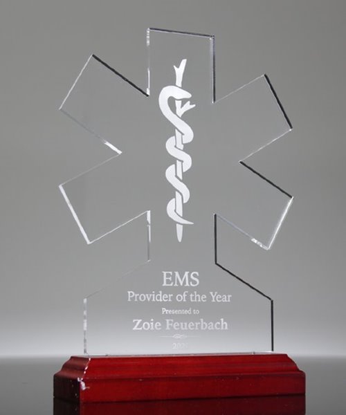 EMS Top Provider Trophy | Edco Awards