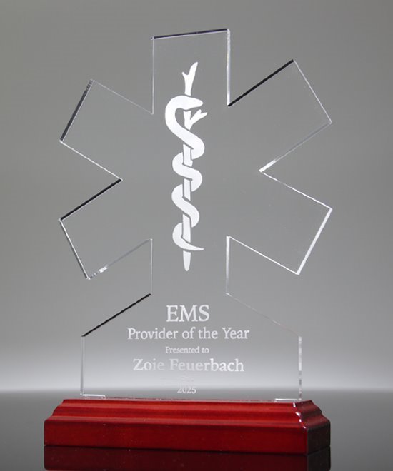 EMS Top Provider Trophy | Edco Awards