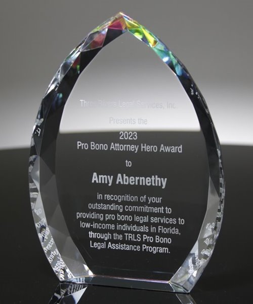 Judicial Excellence Flame Award | Edco Awards
