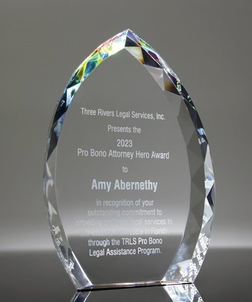 Judicial Excellence Flame Award | Edco Awards