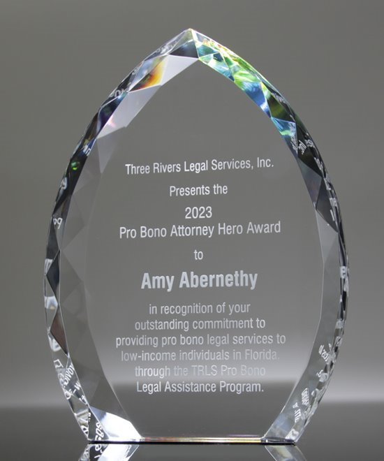 Judicial Excellence Flame Award | Edco Awards