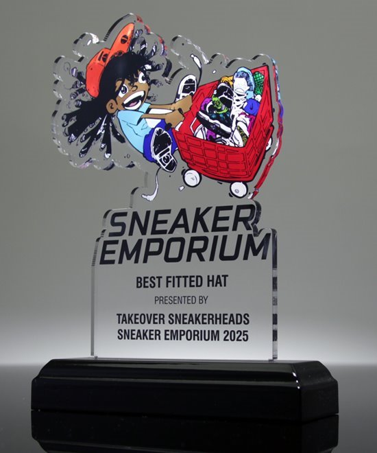 Custom Acrylic Pop-In Award | Edco Awards