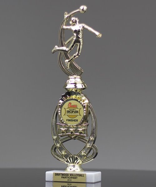 Volleyball Trophy with Meridian Riser | Edco Awards