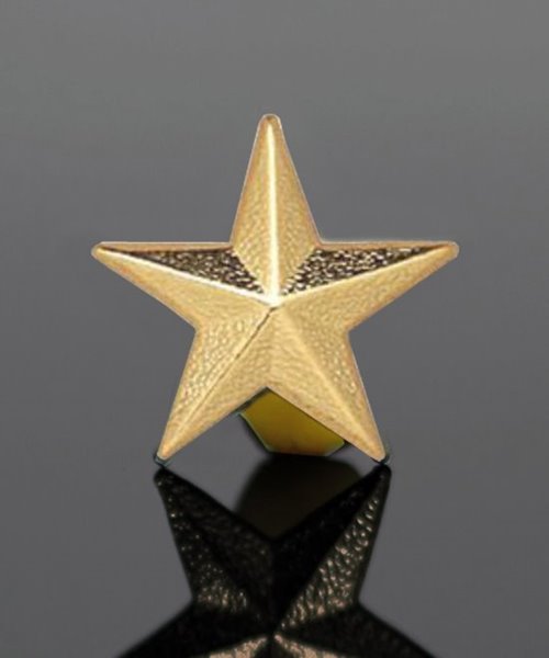 Recognition Pin | Gold Star | Gold Star Lapel Pin | Edco Awards